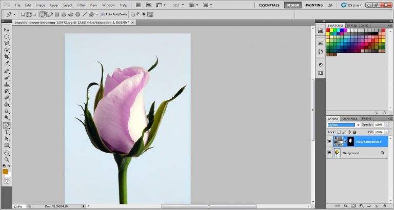 Flower photo editing techniques | Flower photo editing for ecommerce