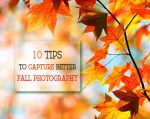 10 secret tips to capture better fall photography like a pro